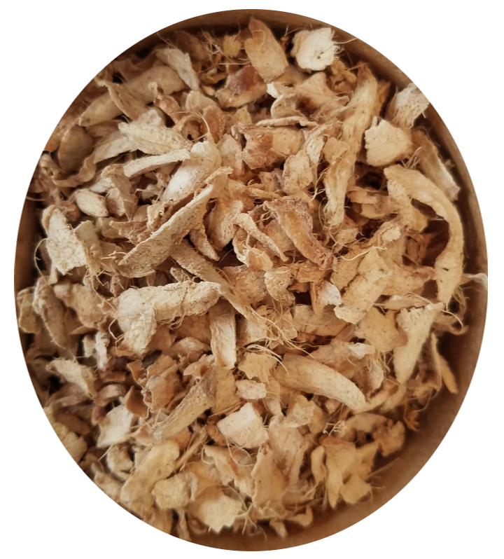 ginger-s_1024x1024.png?v=1598108497